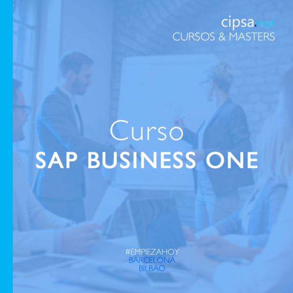 Curso SAP Business One